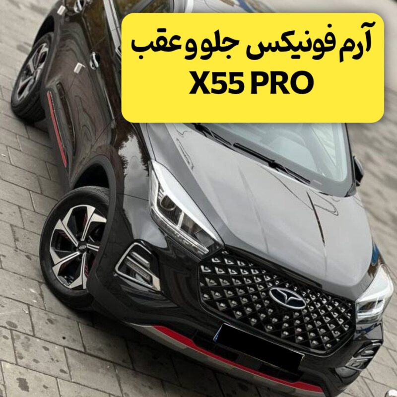 آرم اورجینال فونیکس جلو و عقب X55 PRO - لوکس چری